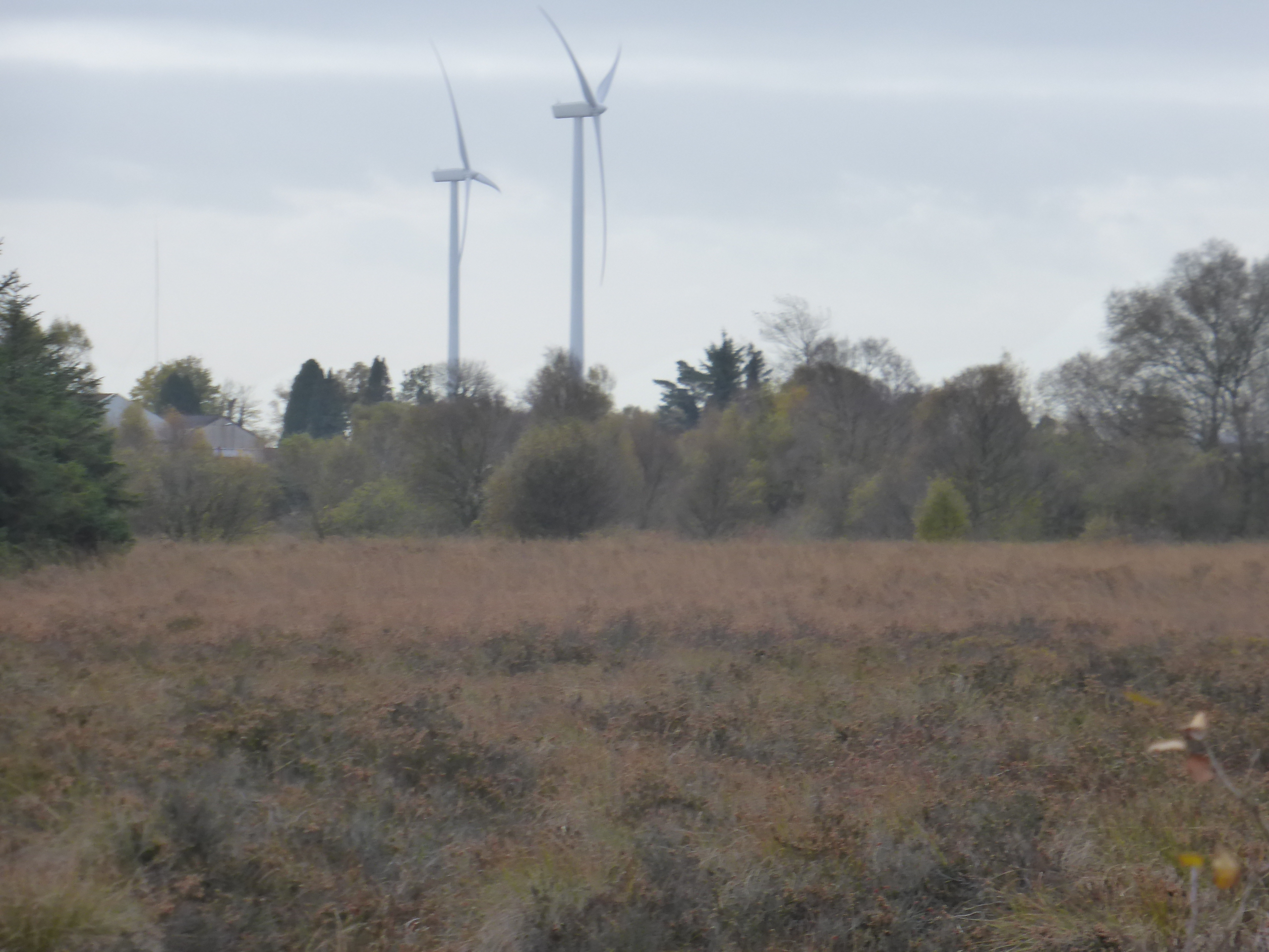 Lisheen III Wind Farm Planning Applications - TOBIN Consulting Engineers