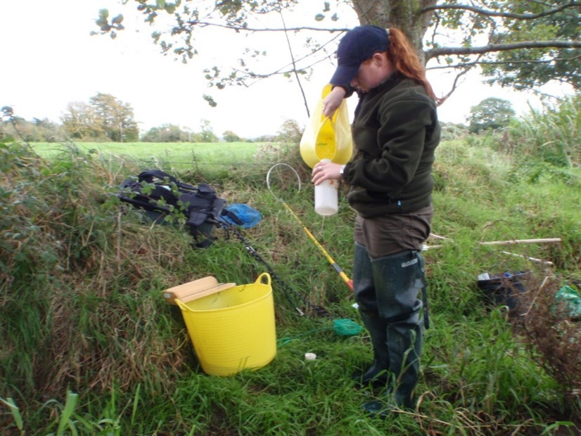 Electrofishing- a new service provided by TOBIN Consulting Engineers ...