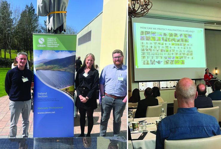 TOBIN - Built on Knowledge